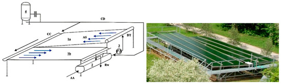 Sustainability | Free Full-Text | A Comparative Analysis of Environmental Impacts of Operational ...