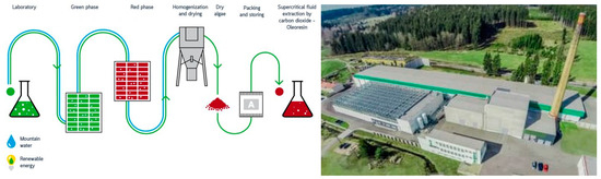Sustainability | Free Full-Text | A Comparative Analysis of Environmental Impacts of Operational ...