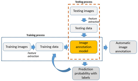 Enhancing Image Annotation Technique of Fruit Classification Using a ...