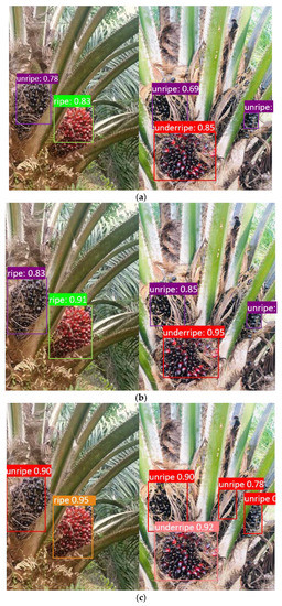 Enhancing Image Annotation Technique of Fruit Classification Using a Deep Learning Approach