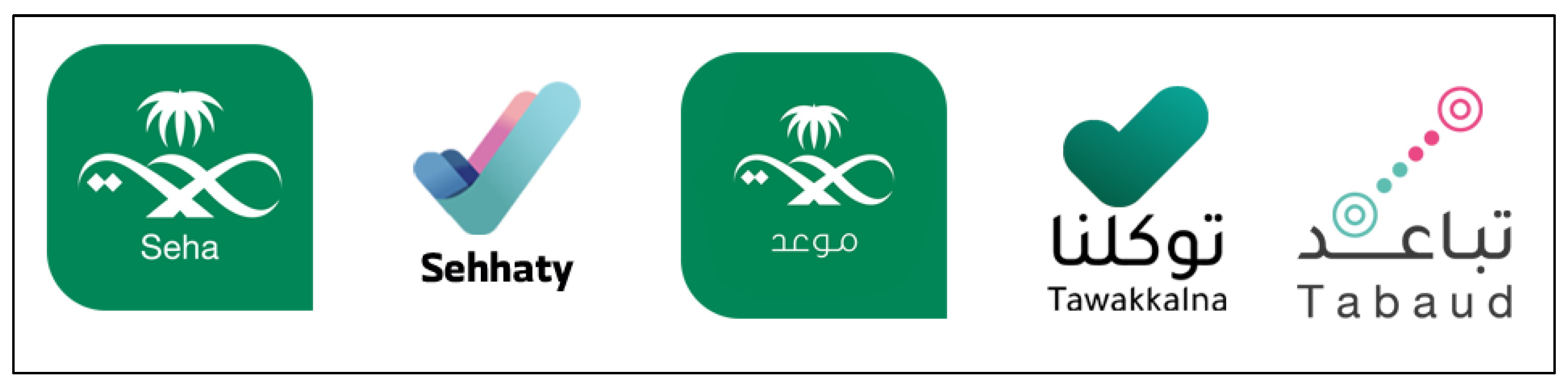 Studying Users’ Perceptions of COVID-19 Mobile Applications in Saudi Arabia