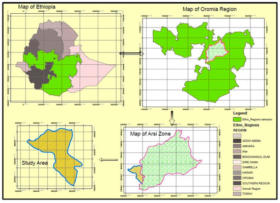 Lumber Recovery Rate of Cupressus lusitanica in Arsi Forest Enterprise ...