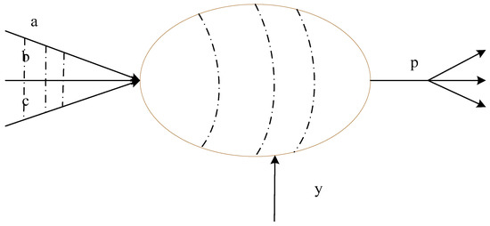 Spatial Spillover Effect of Digital-Finance-Driven Technology ...