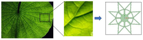 Numerical Investigation of a Bionic Vapor Chamber Based on Leaf Veins ...