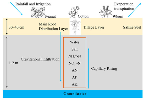 Soil Salinity Weakening and Soil Quality Enhancement after Long-Term Reclamation of Different ...