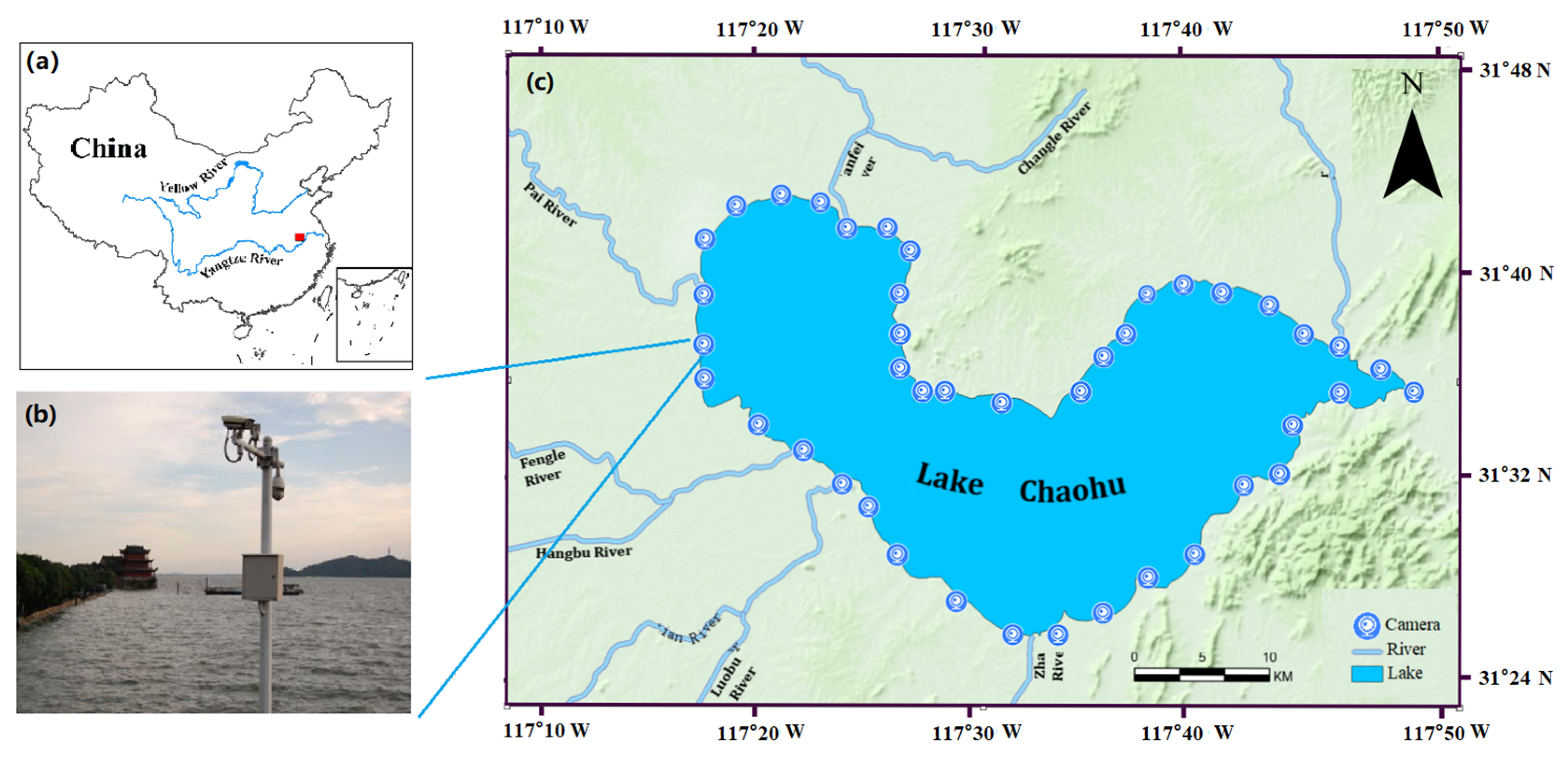 Sustainability | Free Full-Text | Real-Time Identification of Cyanobacteria Blooms in Lakeshore ...