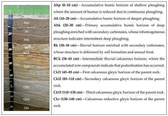 Solid and Liquid Phases of Anaerobic Digestate for Sustainable Use of ...