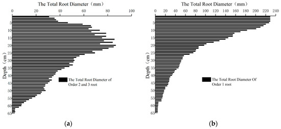 Influence of Vetiver Root Morphology on Soil–Water Characteristics of ...