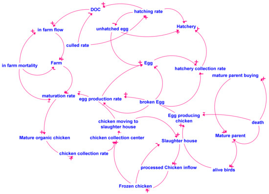 Farm to Fork: Indigenous Chicken Value Chain Modelling Using System ...