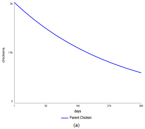 Farm to Fork: Indigenous Chicken Value Chain Modelling Using System ...
