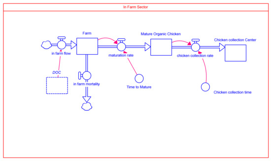 Farm to Fork: Indigenous Chicken Value Chain Modelling Using System ...
