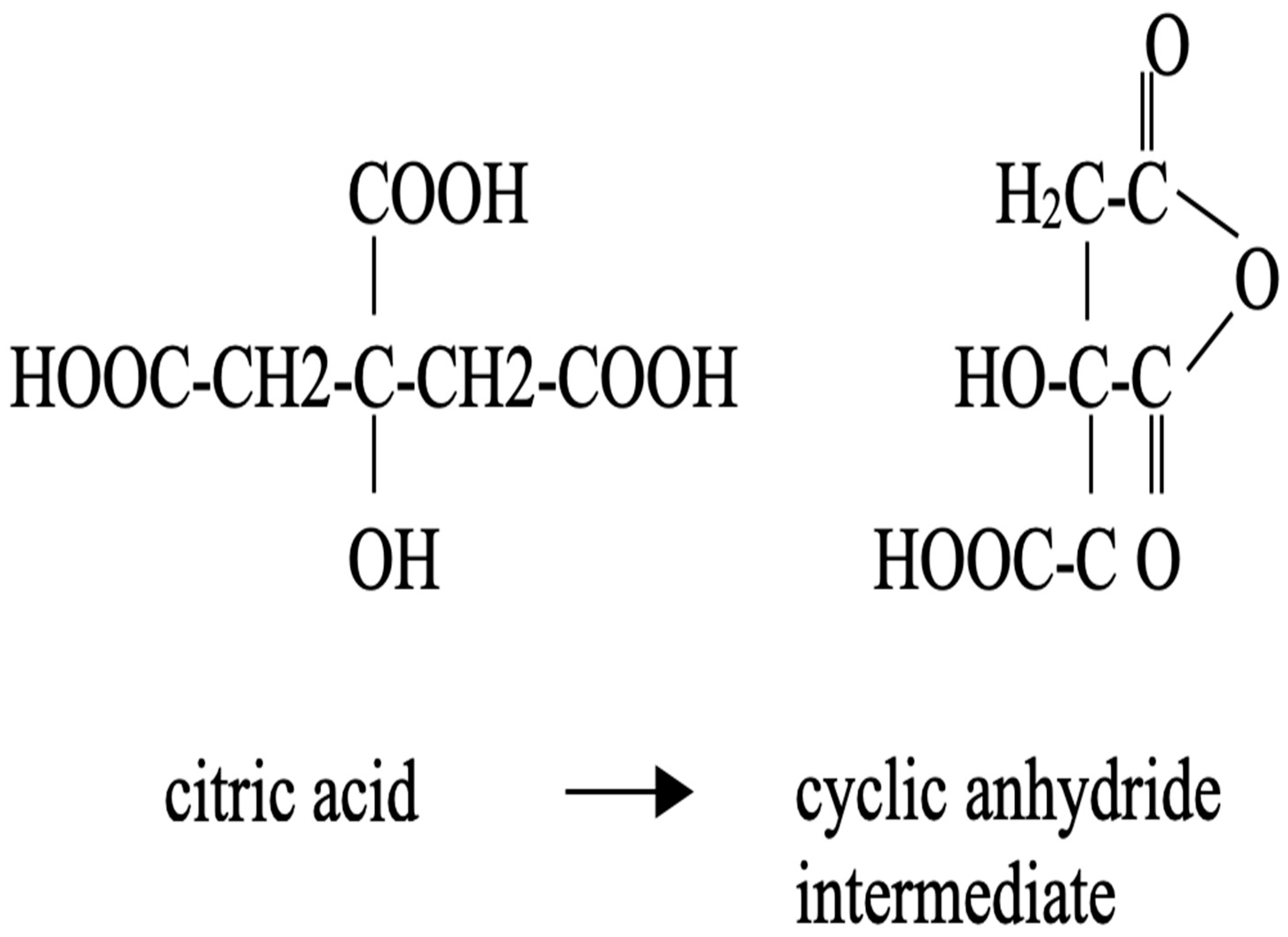 Adsorption of Fatty Acid on Beta-Cyclodextrin Functionalized Cellulose ...