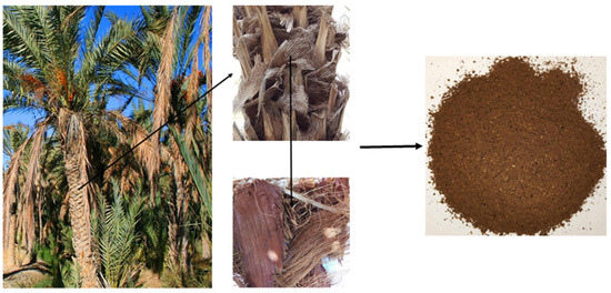 Ecofriendly Dyeing of Textile Materials with Natural Colorants from ...
