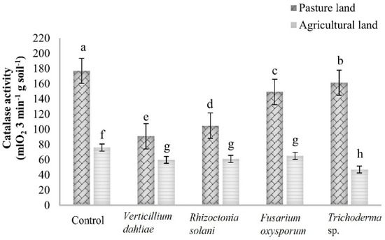 Effects of Fungi on Soil Organic Carbon and Soil Enzyme Activity under ...