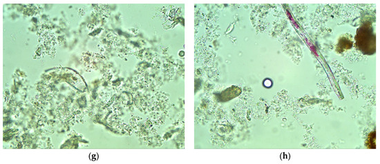 Quality Assessment of Sludge from Filter Backwash Water in Swimming ...