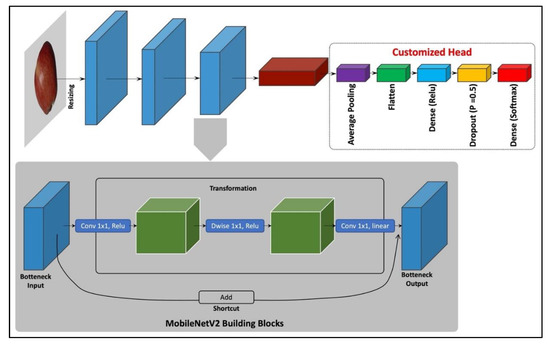 Sustainability Free Full Text Fruit Image Classification Model