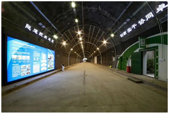 On-Demand Tunnel Lighting System Utilizing Daylight: A Case Study