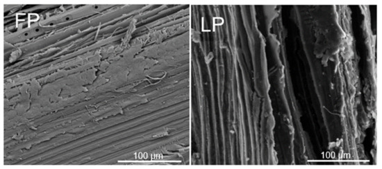 From Natural Woods to High Density Materials: An Ecofriendly Approach