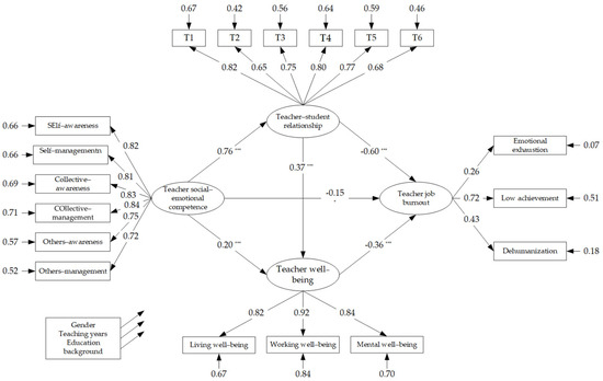 How Teacher Social-Emotional Competence Affects Job Burnout: The Chain ...