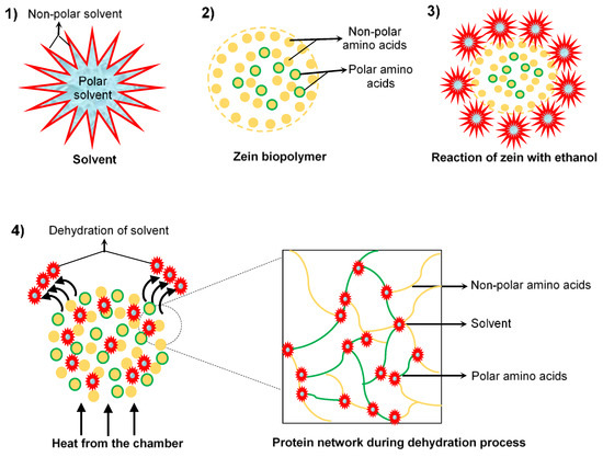 Soil Stabilization Using Zein Biopolymer