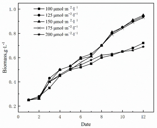 Growth Conditions and Growth Kinetics of Chlorella Vulgaris Cultured in Domestic Sewage