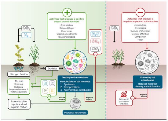 Sustainability | Free Full-Text | Regenerative Agriculture—A Literature ...