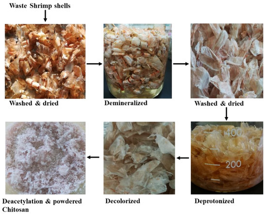 Modified Shrimp-Based Chitosan as an Emerging Adsorbent Removing Heavy ...