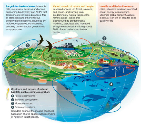 Sustainability | Free Full-Text | A Multifunctional ‘Scape Approach for ...