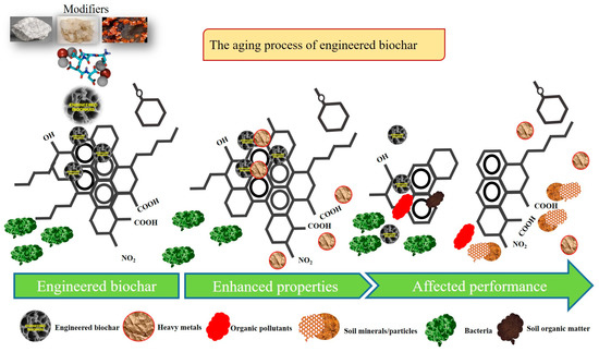 Potential Role of Biochar on Capturing Soil Nutrients, Carbon Sequestration and Managing ...