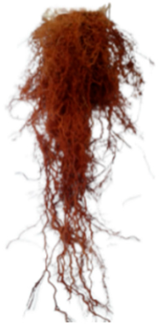 Sustainability | Free Full-Text | Study on Mechanical Properties of ...