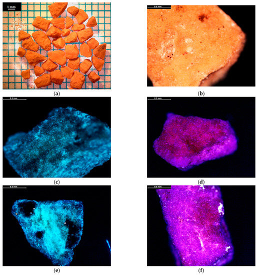 An Eco-Friendly Modification of a Walnut Shell Biosorbent for Increased ...