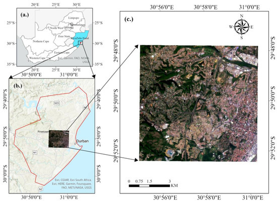 Characterizing Informal Settlement Dynamics Using Google Earth Engine and Intensity Analysis in ...