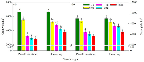 Sustainability | Free Full-Text | Selenium Application Improves Drought ...