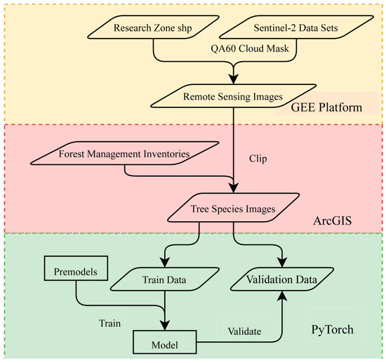 Sustainability | Free Full-Text | Deep Learning in Forest Tree Species Classification Using ...