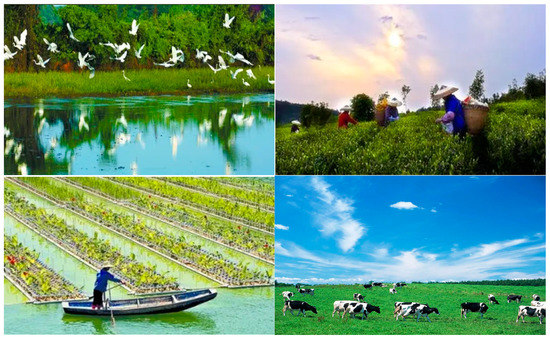 Strategies for Environmental Protection and Optimization of Ecological ...