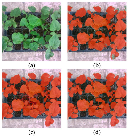 Image Segmentation of Cucumber Seedlings Based on Genetic Algorithm
