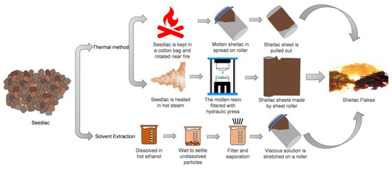 Shellac: From Isolation to Modification and Its Untapped Potential in ...
