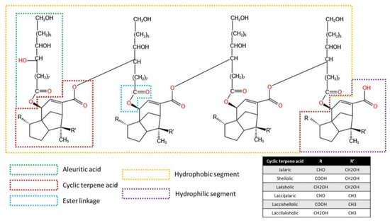 Shellac: From Isolation to Modification and Its Untapped Potential in ...