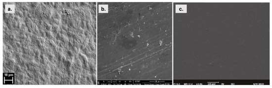 Shellac: From Isolation to Modification and Its Untapped Potential in ...