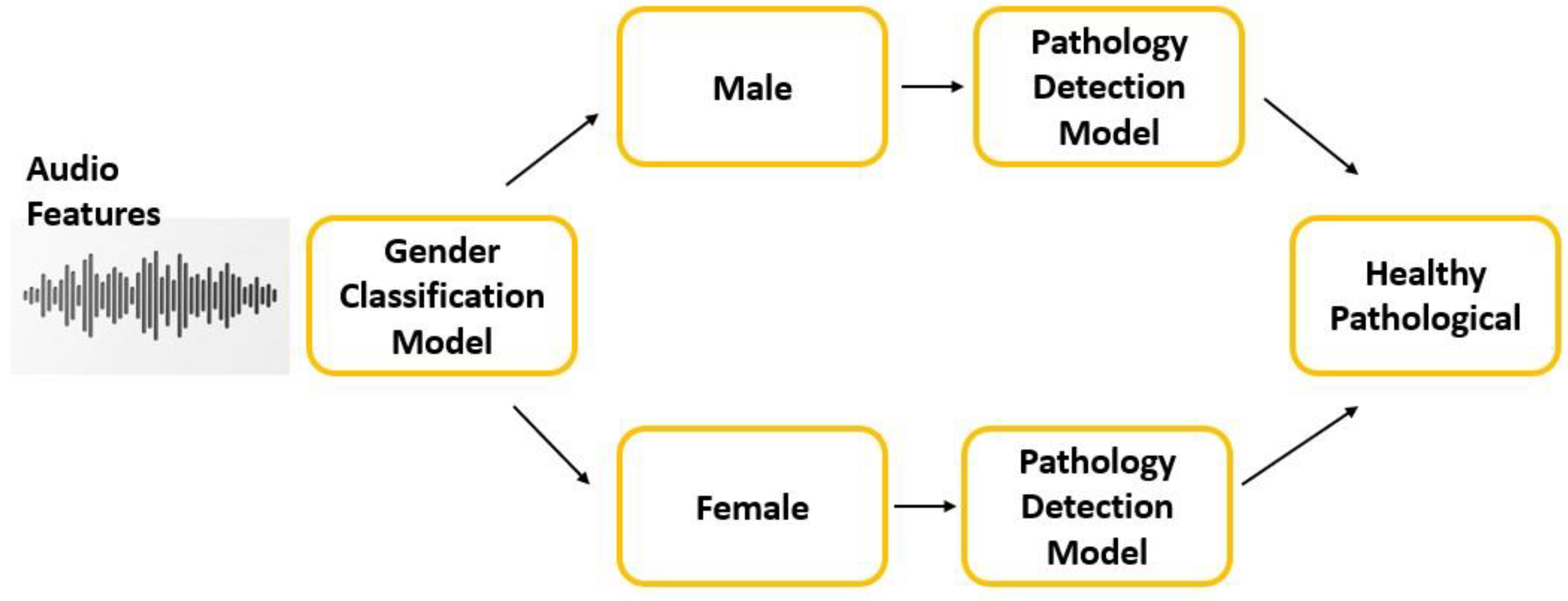 Voice Pathology Detection Using a Two-Level Classifier Based on Combined CNN–RNN Architecture
