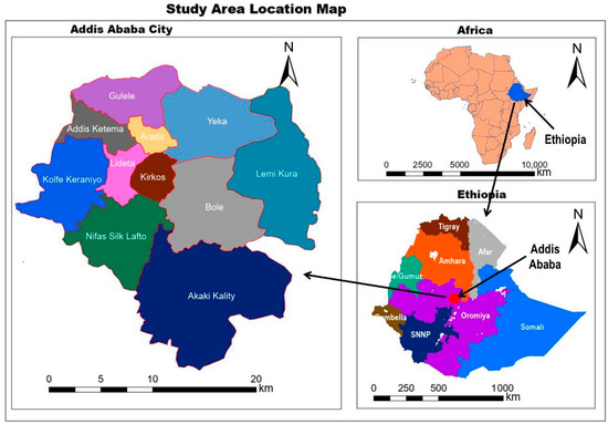 Factors Affecting Climate Change Governance in Addis Ababa City, Ethiopia
