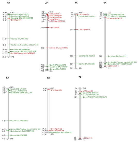 Genetics of Resistance to Leaf Rust in Wheat: An Overview in a Genome ...