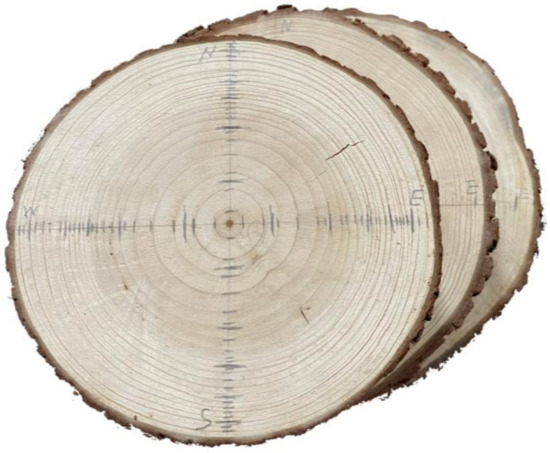 Estimation of Biomass Dynamics and Allocation in Chinese Fir Trees ...