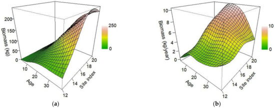 Estimation of Biomass Dynamics and Allocation in Chinese Fir Trees ...