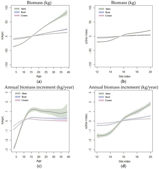 Estimation of Biomass Dynamics and Allocation in Chinese Fir Trees ...