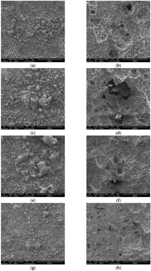 Investigation of the Corrosion Characteristics and Corrosion Inhibitor ...