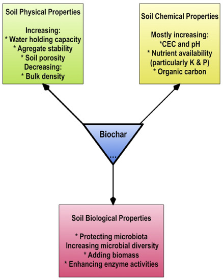 Biochar Production, Modification, and Its Uses in Soil Remediation: A ...