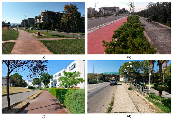 Establishing Performance Criteria for Evaluating Pedestrian Environments