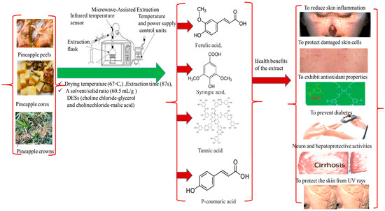 Recent Progress and Future Perspectives for Zero Agriculture Waste ...