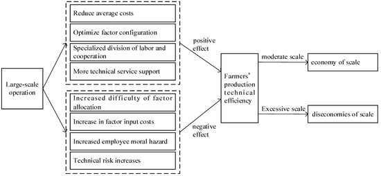 How Operation Scale Improve the Production Technical Efficiency of ...